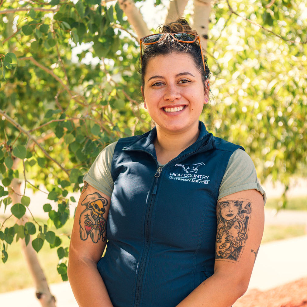 About Us - High Country Veterinary Services