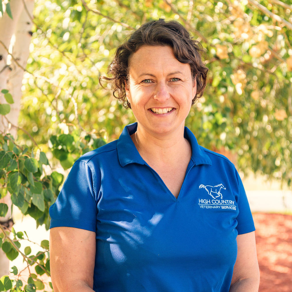 About Us - High Country Veterinary Services