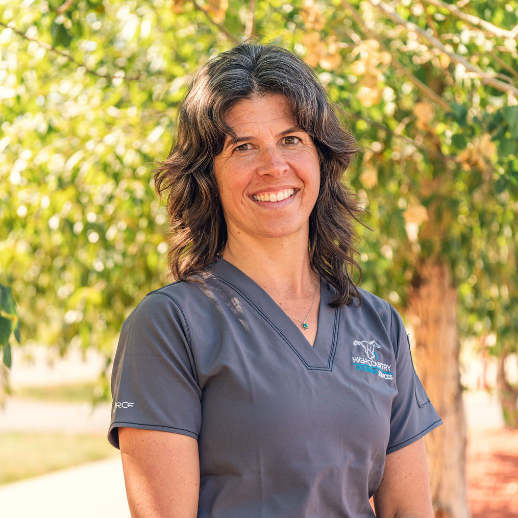 About Us - High Country Veterinary Services