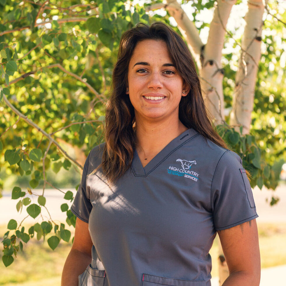 About Us - High Country Veterinary Services