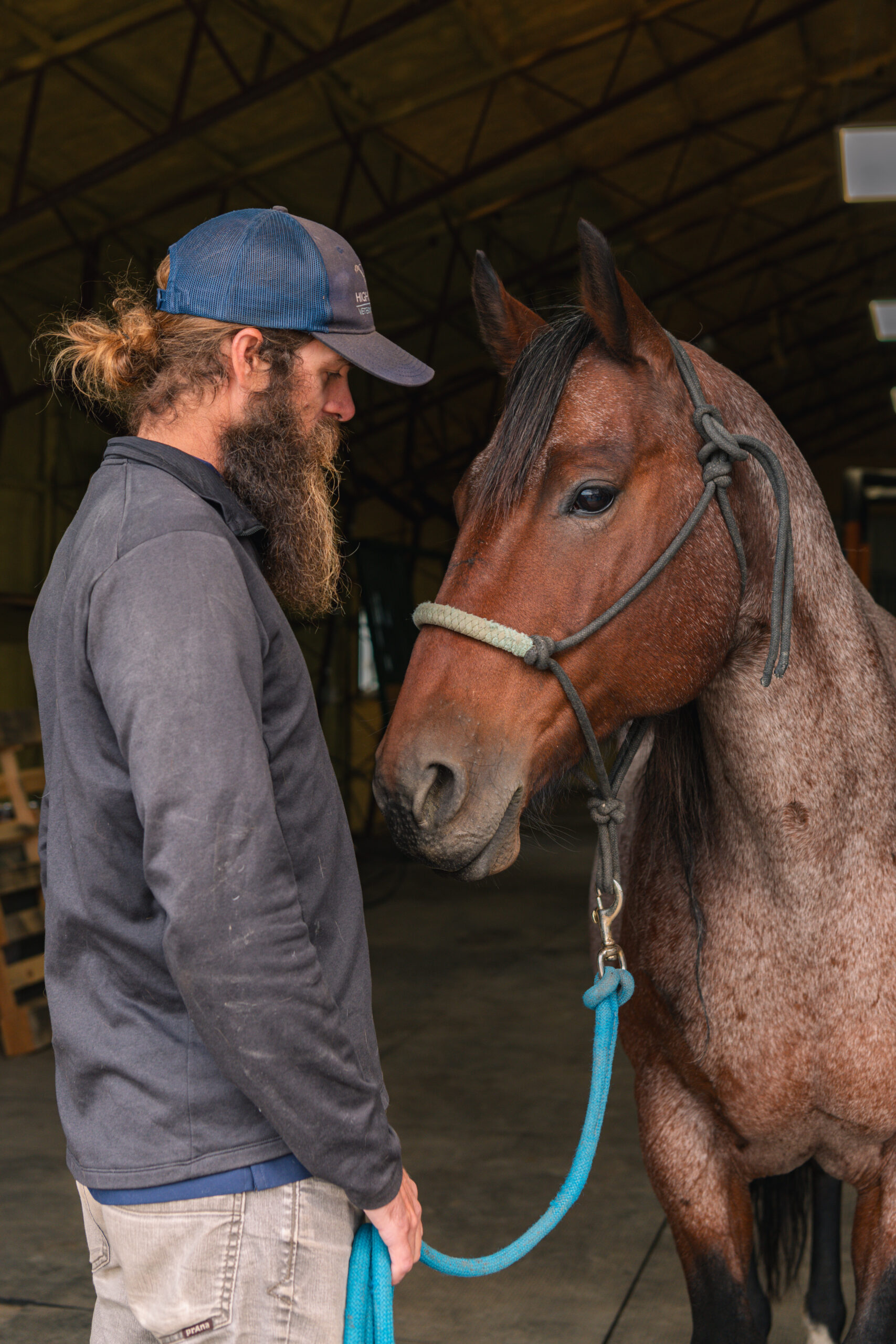 About Us - High Country Veterinary Services