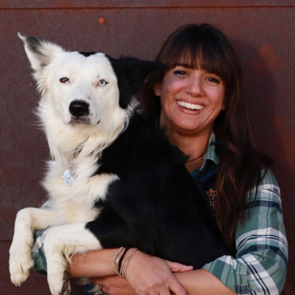 About Us - High Country Veterinary Services